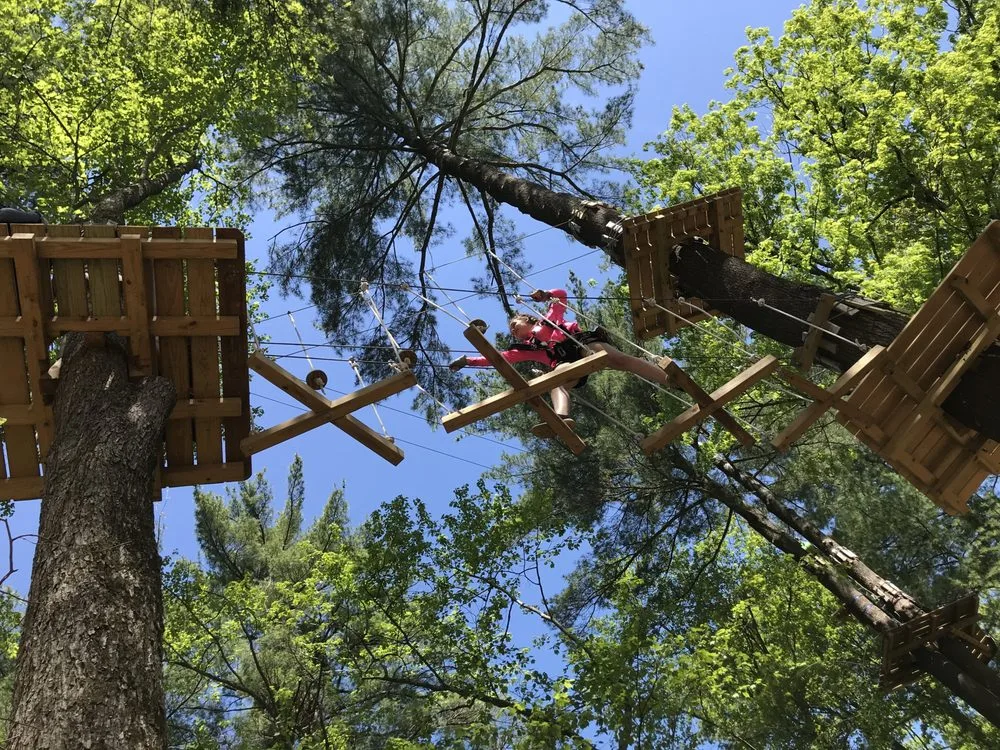 TreeTop Adventures - Team Building | teambuilding.com