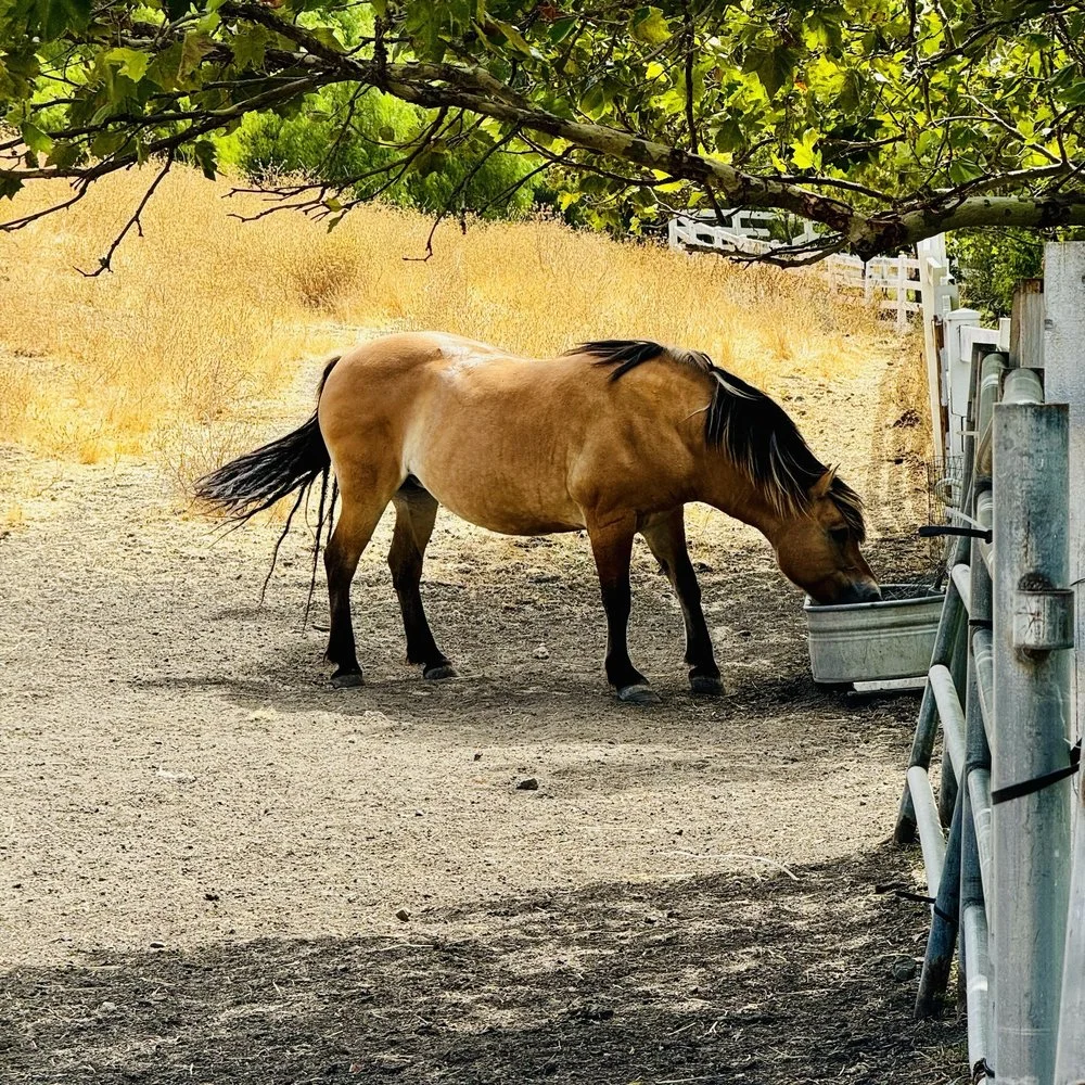 Coyote Ranch - Team Building | teambuilding.com
