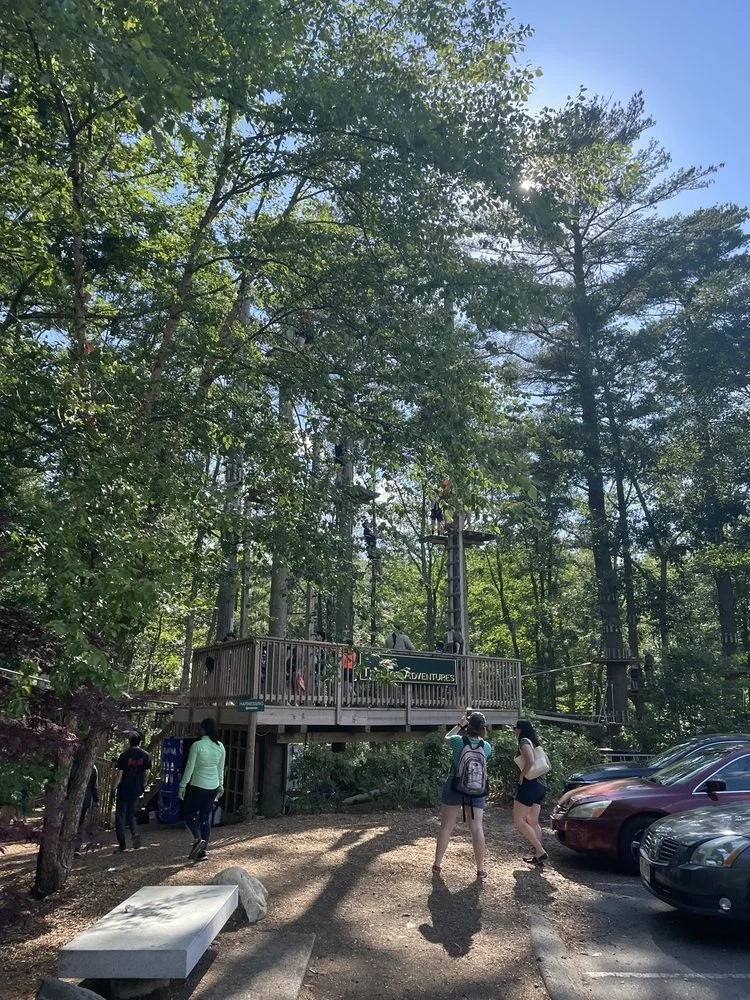TreeTop Adventures - Team Building | teambuilding.com