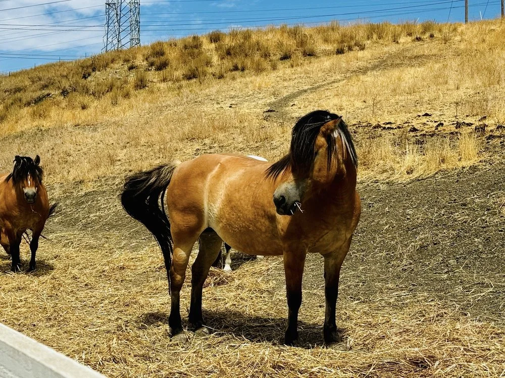 Coyote Ranch - Team Building | teambuilding.com