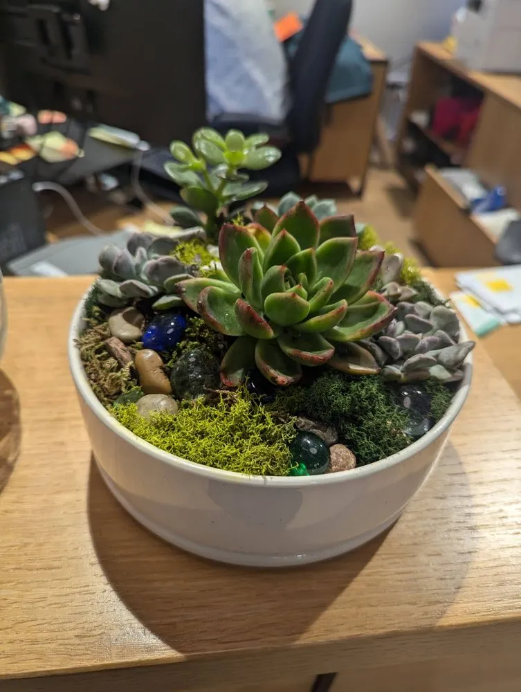 Fun With Plants - Team Building | teambuilding.com