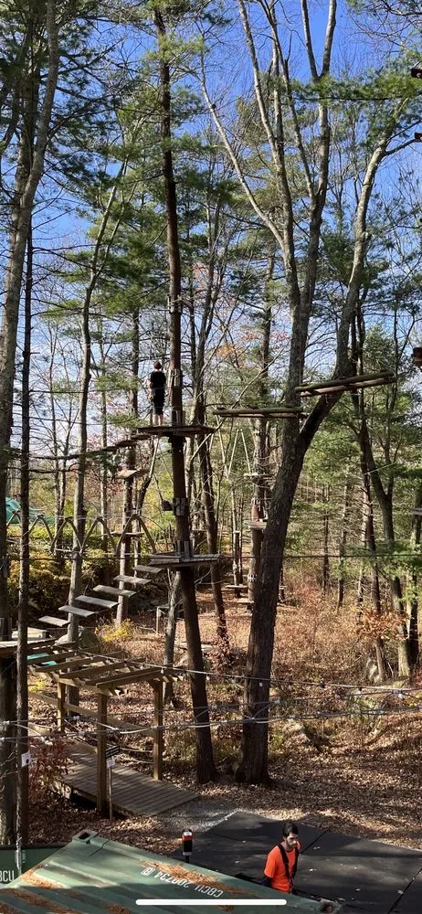 TreeTop Adventures - Team Building | teambuilding.com