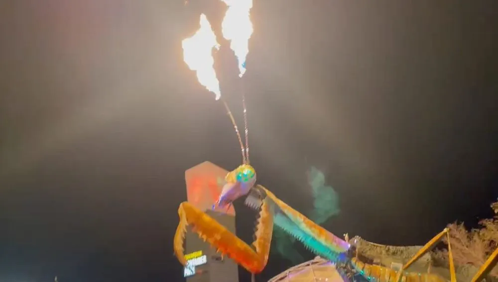 Escapely - Team Building | teambuilding.com