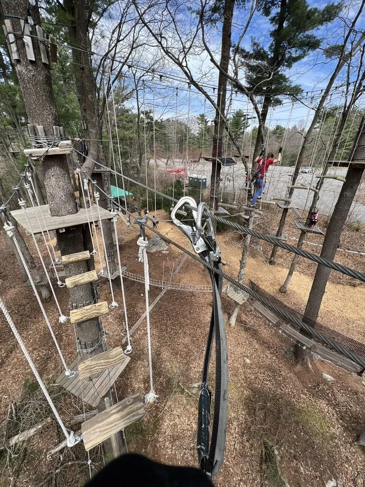 TreeTop Adventures - Team Building | teambuilding.com