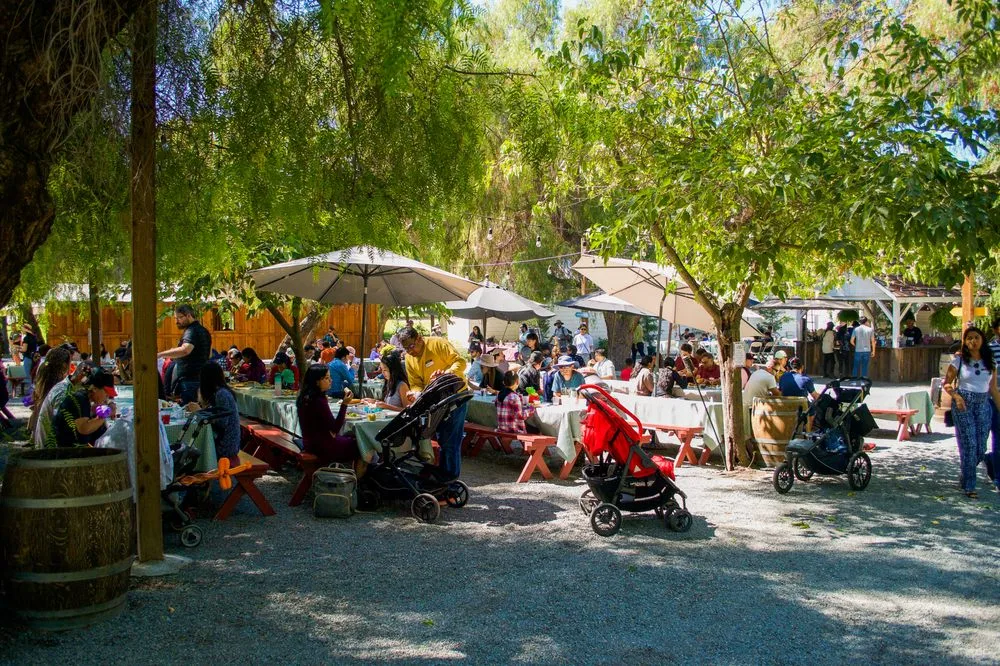 Coyote Ranch - Team Building | teambuilding.com