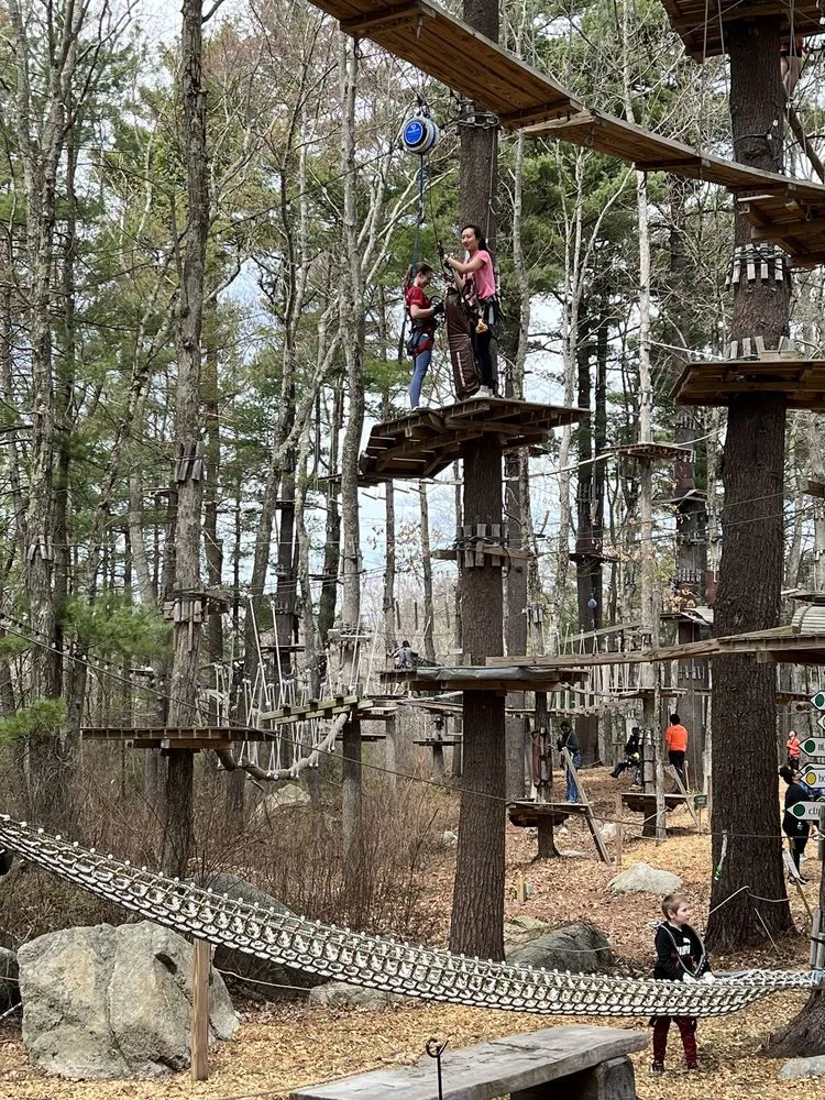 TreeTop Adventures - Team Building | teambuilding.com
